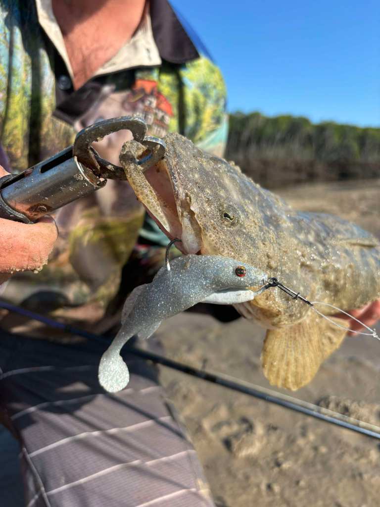 gallery – Aussie Native Lures